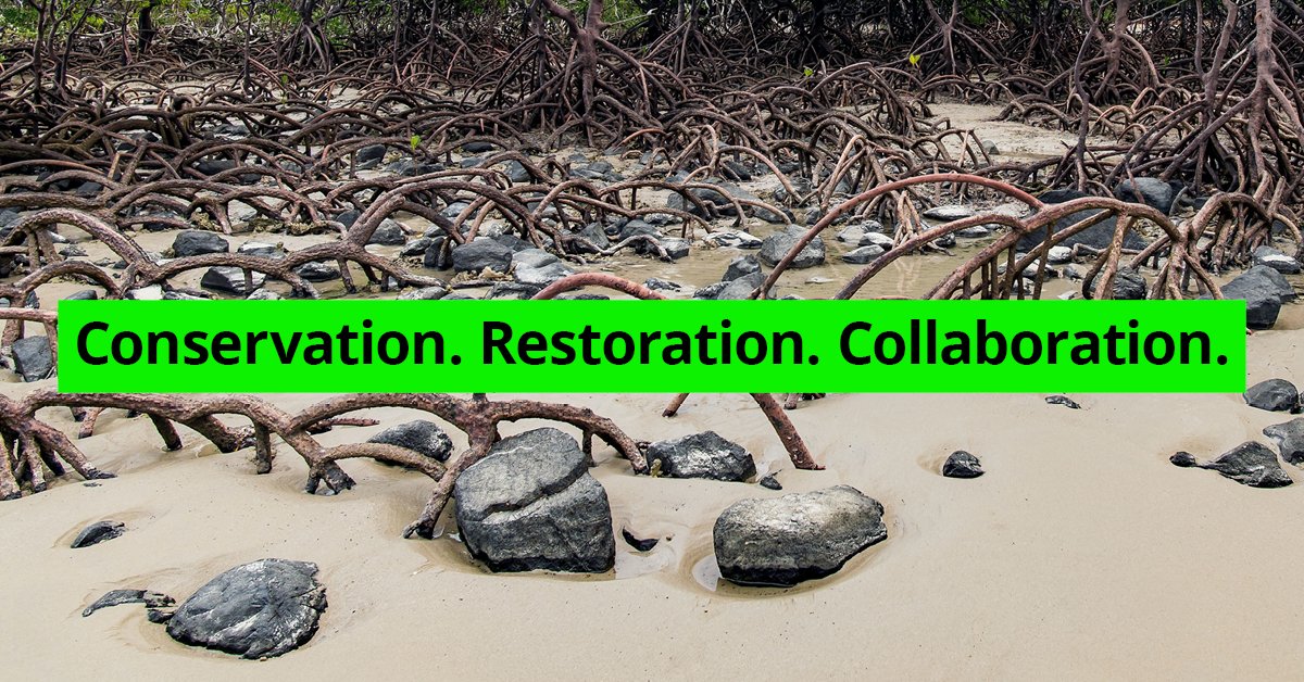 Embedding Indigenous Knowledge in the Conservation and Restoration of ...